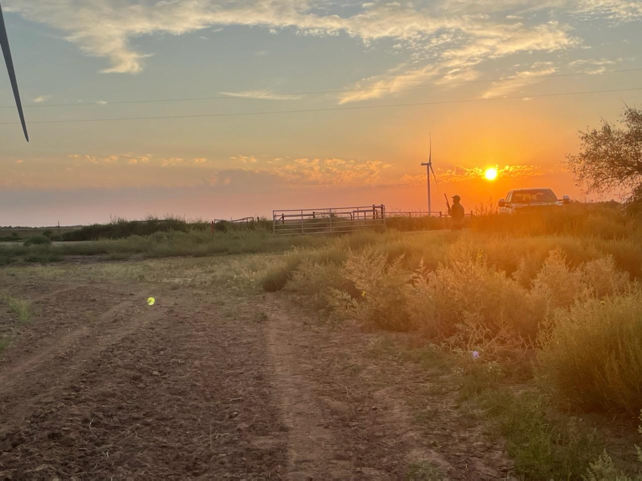 MJEC Customer Dove Hunt – McMillan James Equipment Company